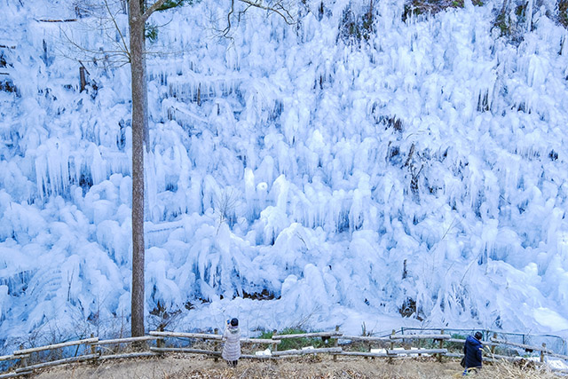 Icicles of Ashigakubo | Japan Travel by NAVITIME - Japan Travel Guides ...