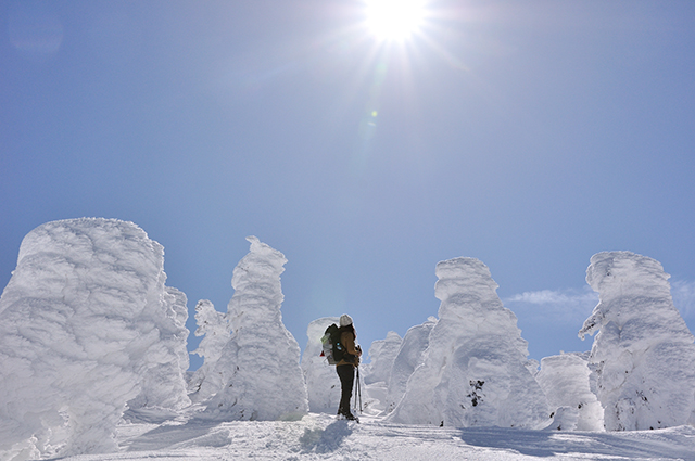 Zao Snow Monsters | Japan Travel by NAVITIME - Japan Travel Guides ...