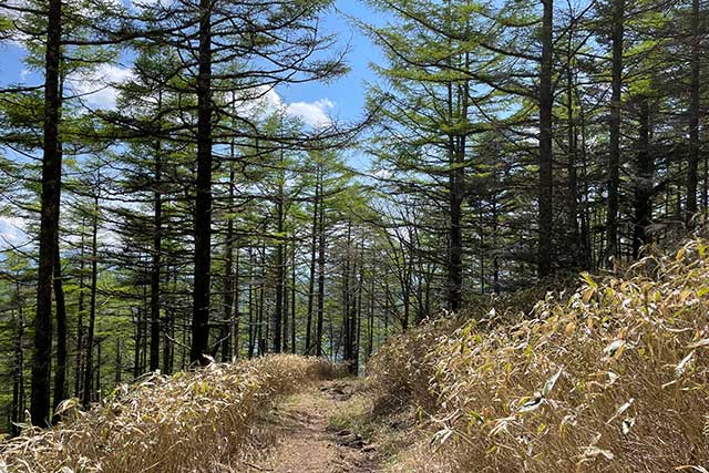 Hiking Mount Daibosatsu and Daibosatsu Pass | Japan Travel by NAVITIME - Japan Travel Guides ...