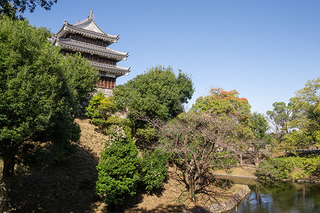Nishio City: The Hidden Matcha Paradise Awaiting Discovery | Japan ...