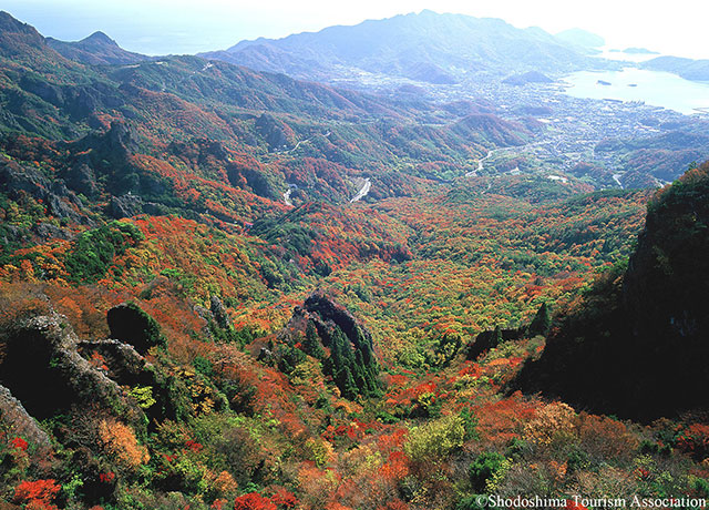 Enjoy a One Hour Ferry Ride to Beautiful Shodoshima in the Seto Inland ...