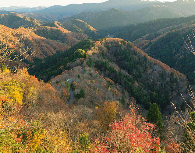 Saba Kaidō: Discover the Ancient Road from Kyoto to the Sea of Japan ...