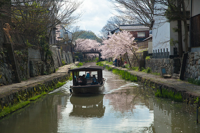 Sakura on the Go | Japan Travel by NAVITIME - Japan Travel Guides ...