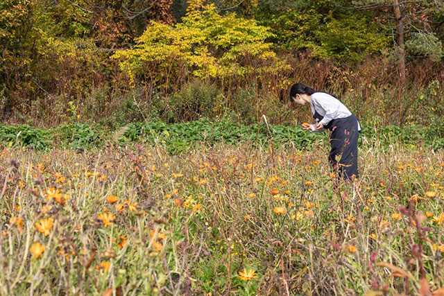 Shimokawa - The Local Artisans of Shimokawa | Japan Travel by NAVITIME ...