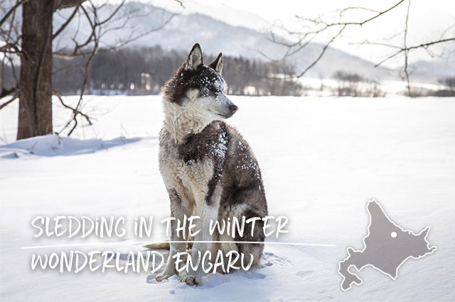 Hokkaido yet to know –The local side- | Japan Travel by NAVITIME ...