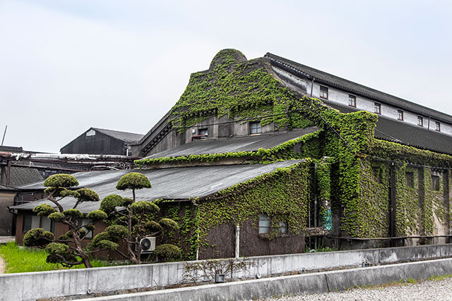 Shodoshima Island | Japan Travel by NAVITIME - Japan Travel Guides ...