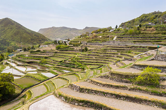 Shodoshima Island | Japan Travel by NAVITIME - Japan Travel Guides ...