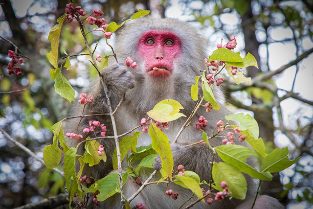 Complete Guide to Kamikochi | Japan Travel by NAVITIME - Japan Travel ...