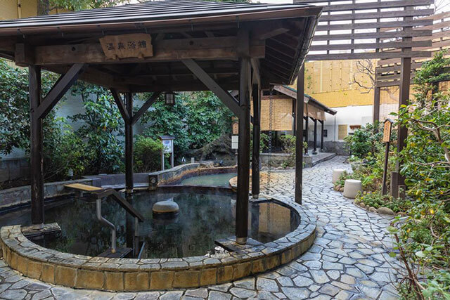 Top 5 Onsen Sento in Tokyo | Japan Travel by NAVITIME - Japan Travel ...